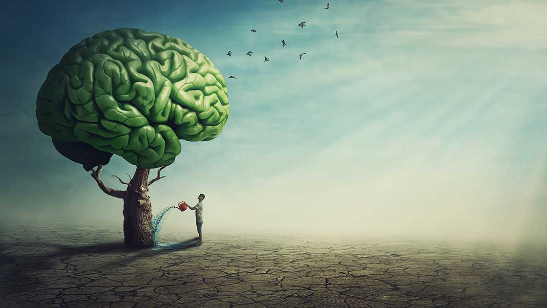 The Coding Diva Navigating The Coding Journey A Closer Look At Mental Health In Tech Part Two